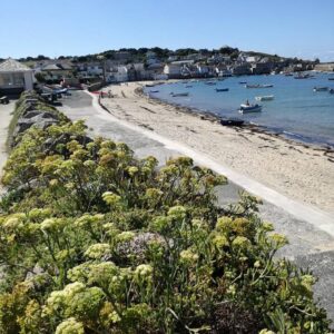 Events - Beth French